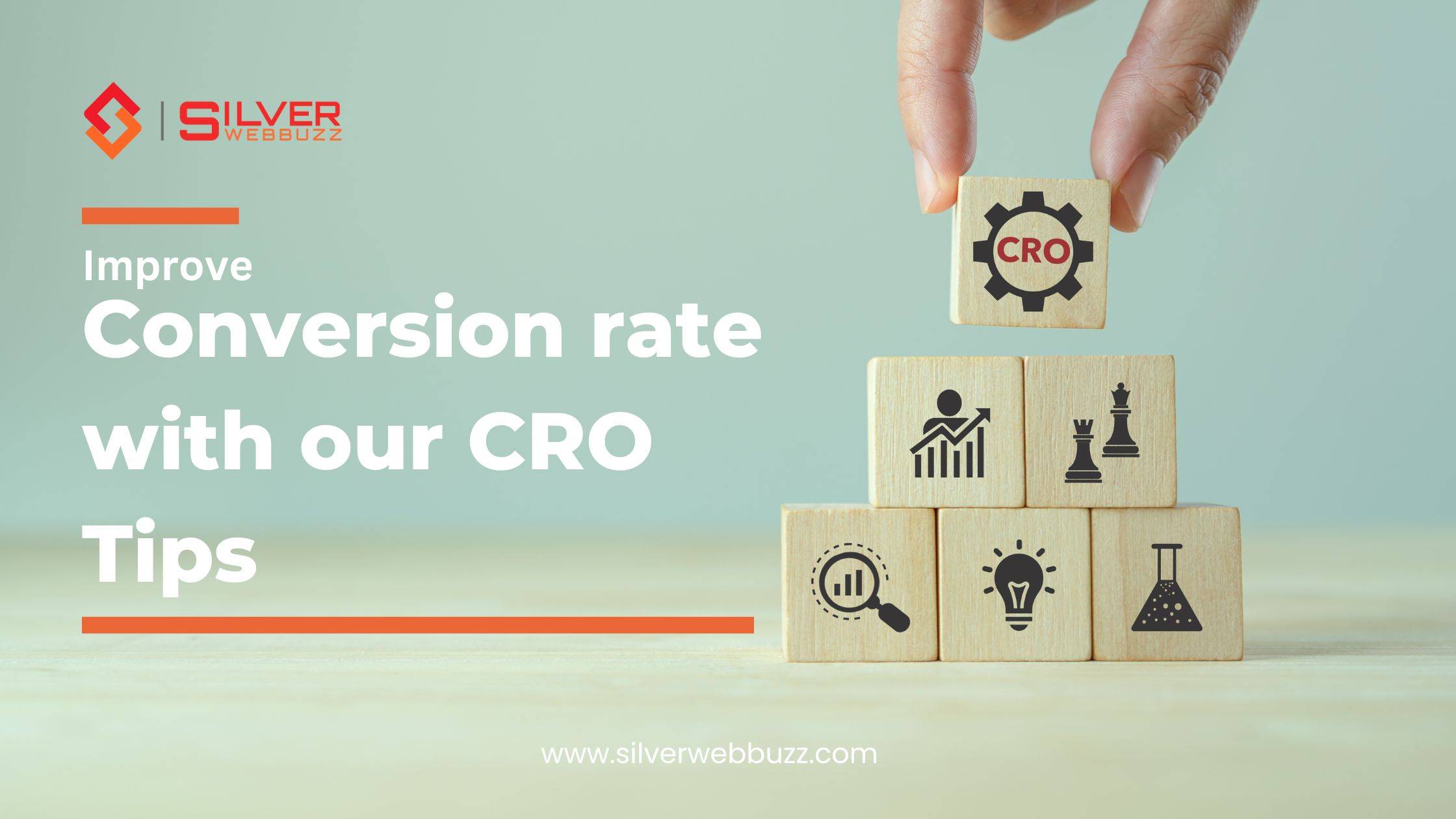 Custom Website Development Company - Silver WebBuzz